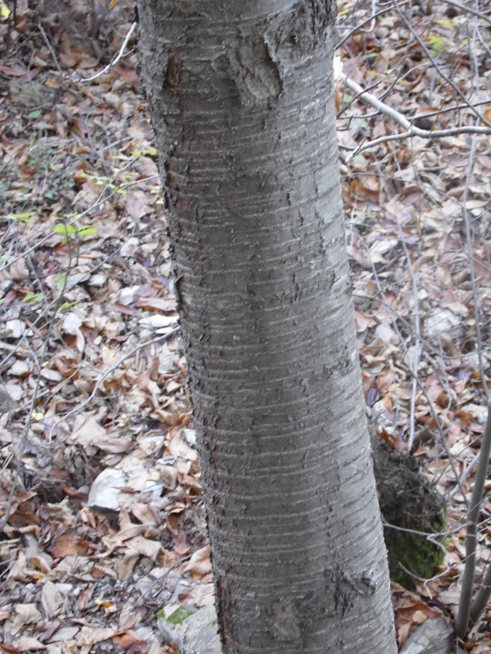 Nature – Nature et Patrimoine